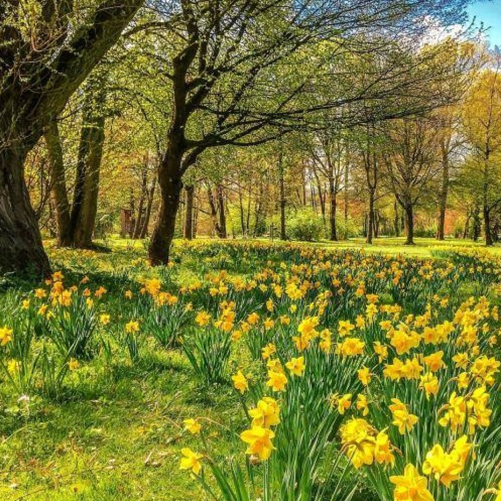 Alison Foley - VC Estates